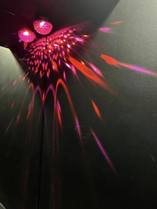 Detune - MARIAND IN MILAN